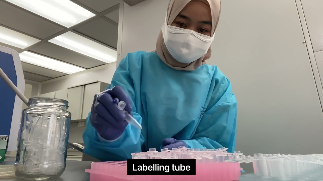 My internship journey at Biotech Melaka - YouTube