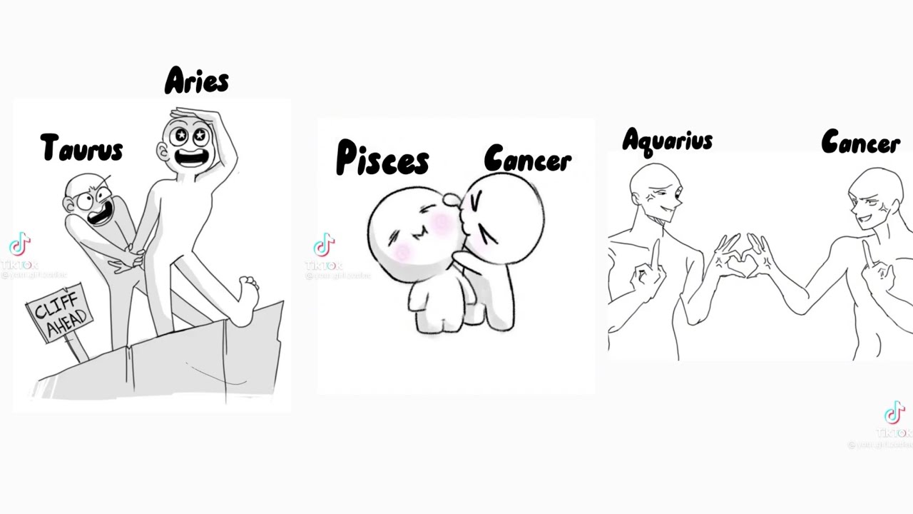 Relatable Zodiac Signs TikTok Compilation - YouTube