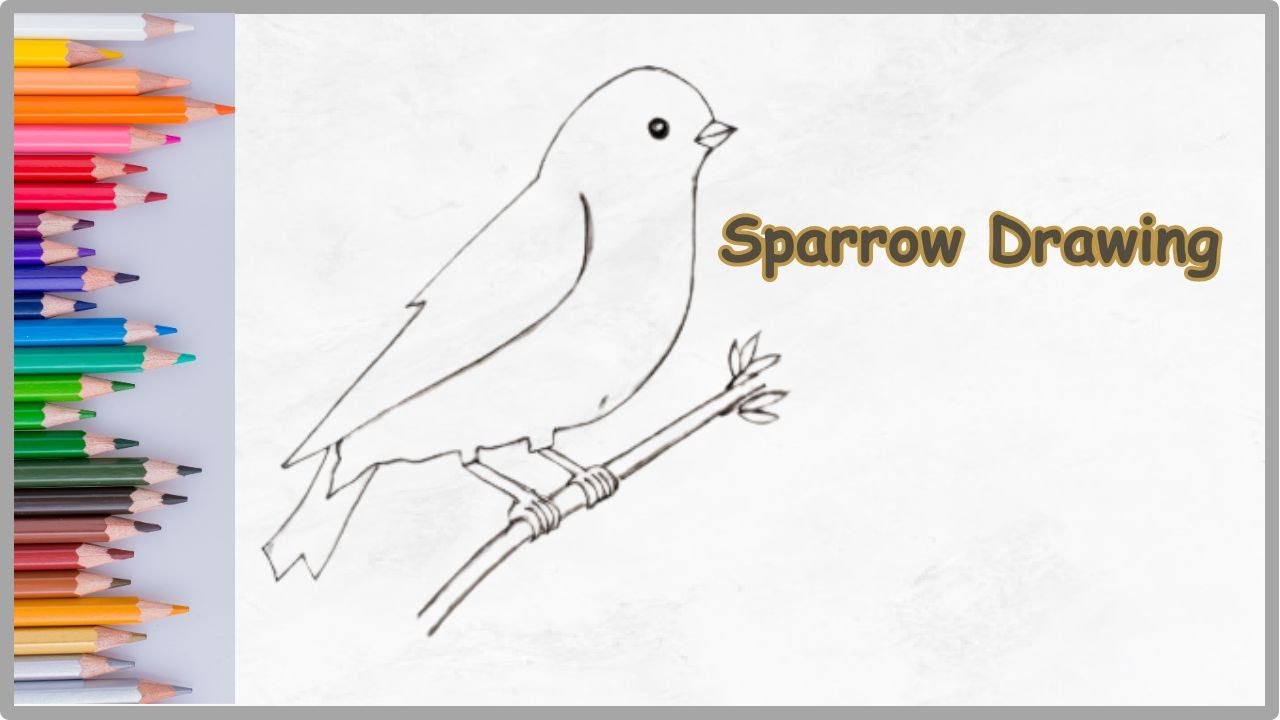 Bird Drawing for Beginners ||Bird Scenery Drawing || Birds Drawing Step ...