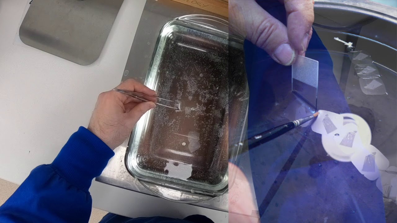 Introduction to microtomy - YouTube