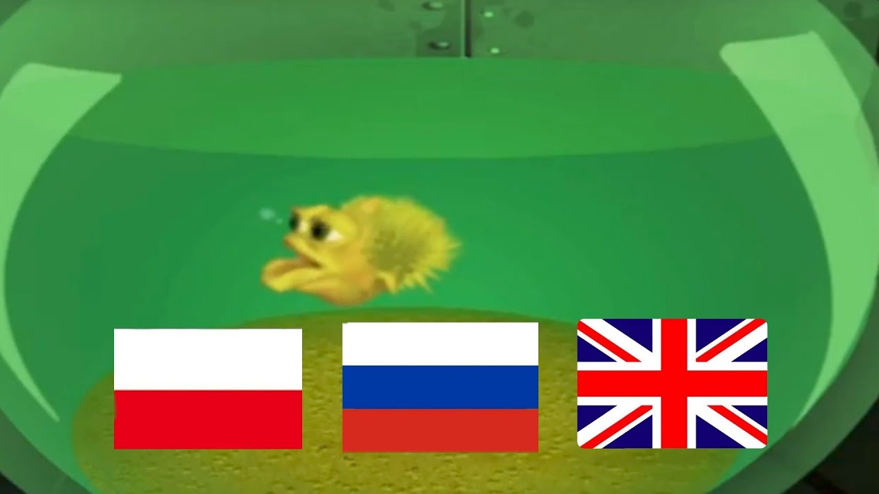 Yellow Singing Pufferfish in Polish, Russian and English language ...
