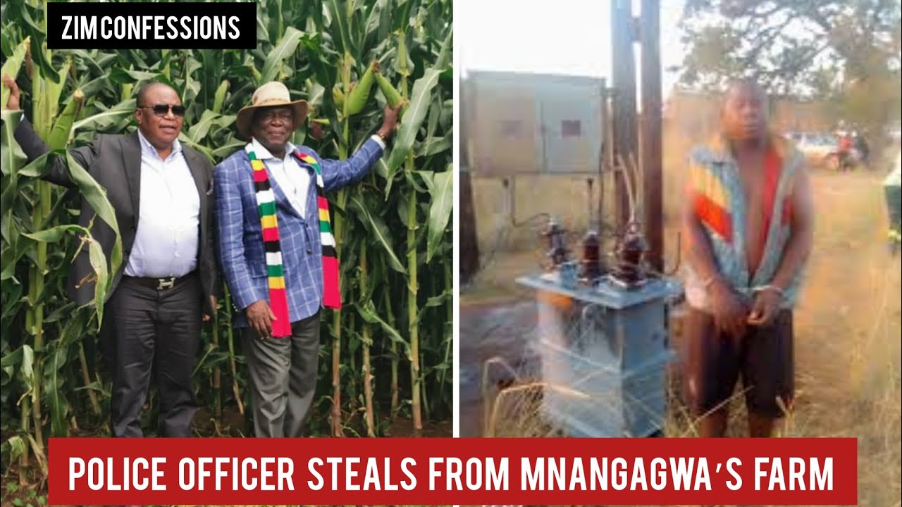Police Officer Steals From Mnangagwa’s Farm - YouTube