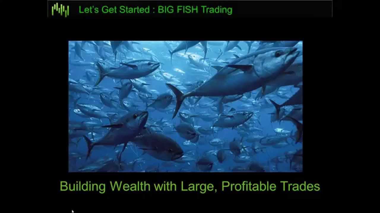 Big Fish Trading: Catching the Big Moves in Stocks & ETFs with Little ...