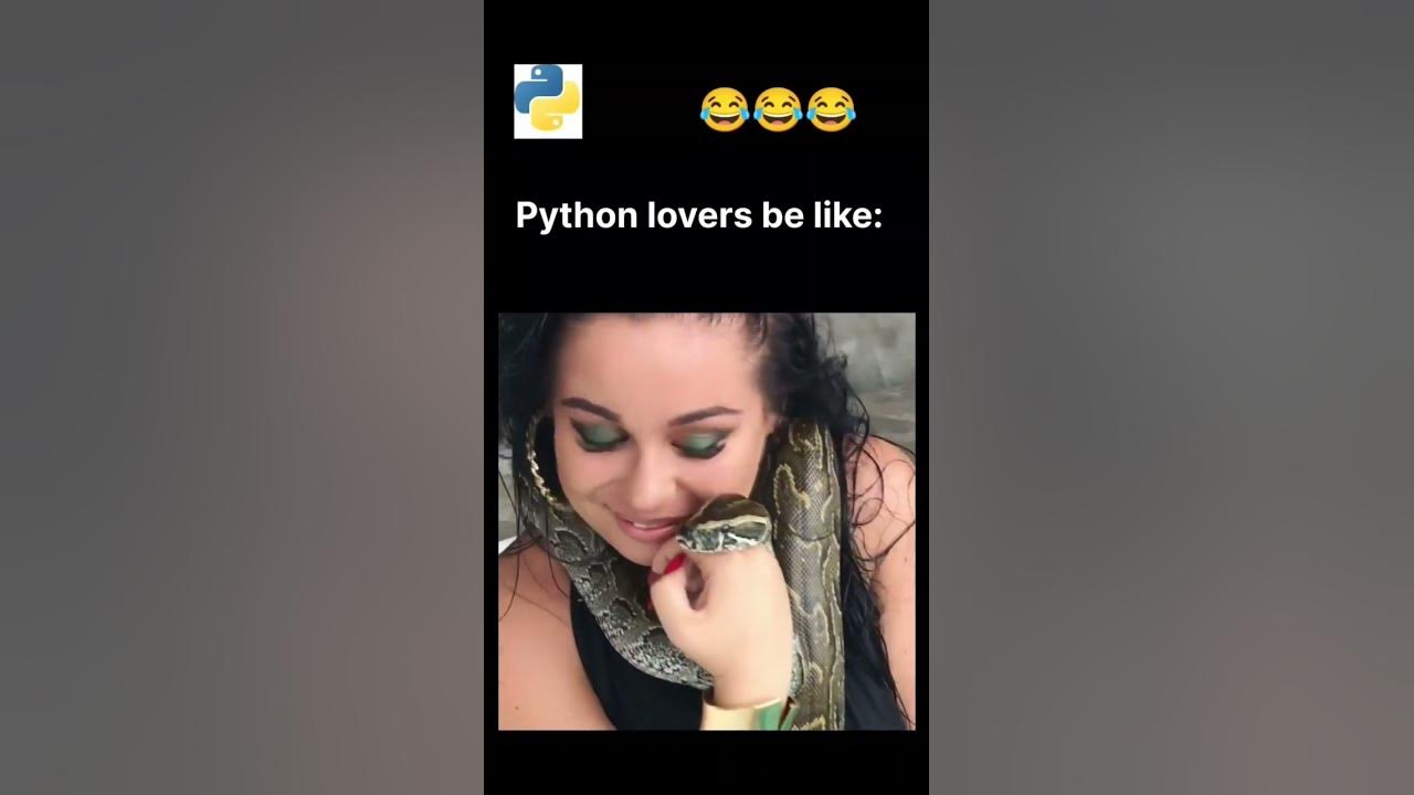 Python Lovers 馃槀馃槄 Coding Python Programming Memes Memesoncoding Youtube