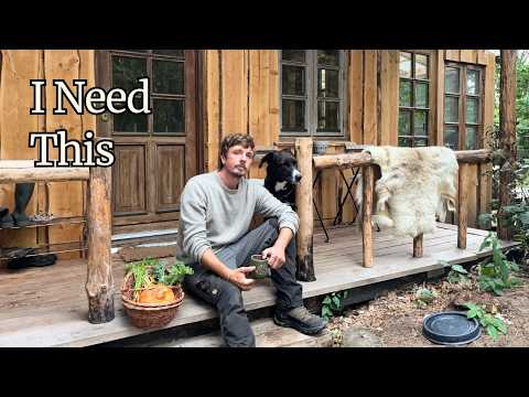 The Quiet Life I Needed | Reconnecting At My Forest Cabin