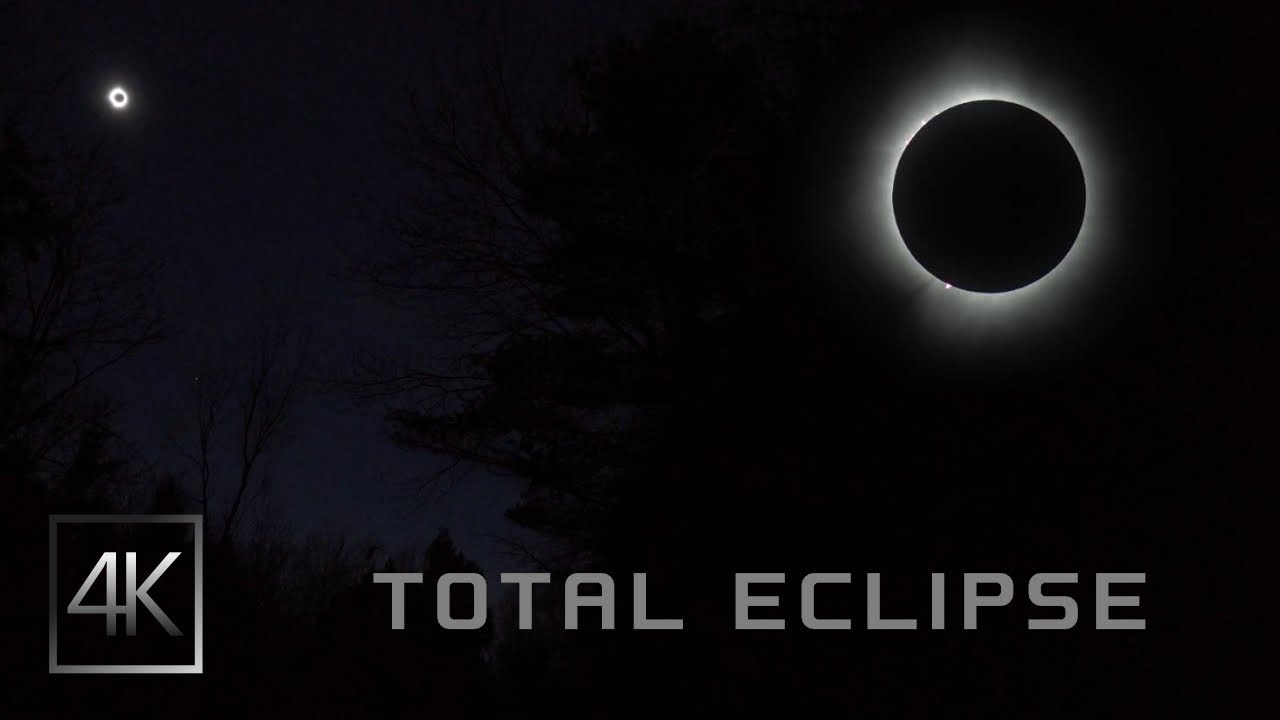 Deep Woods Walk During Celestial Total Solar Eclipse l Relaxing - YouTube