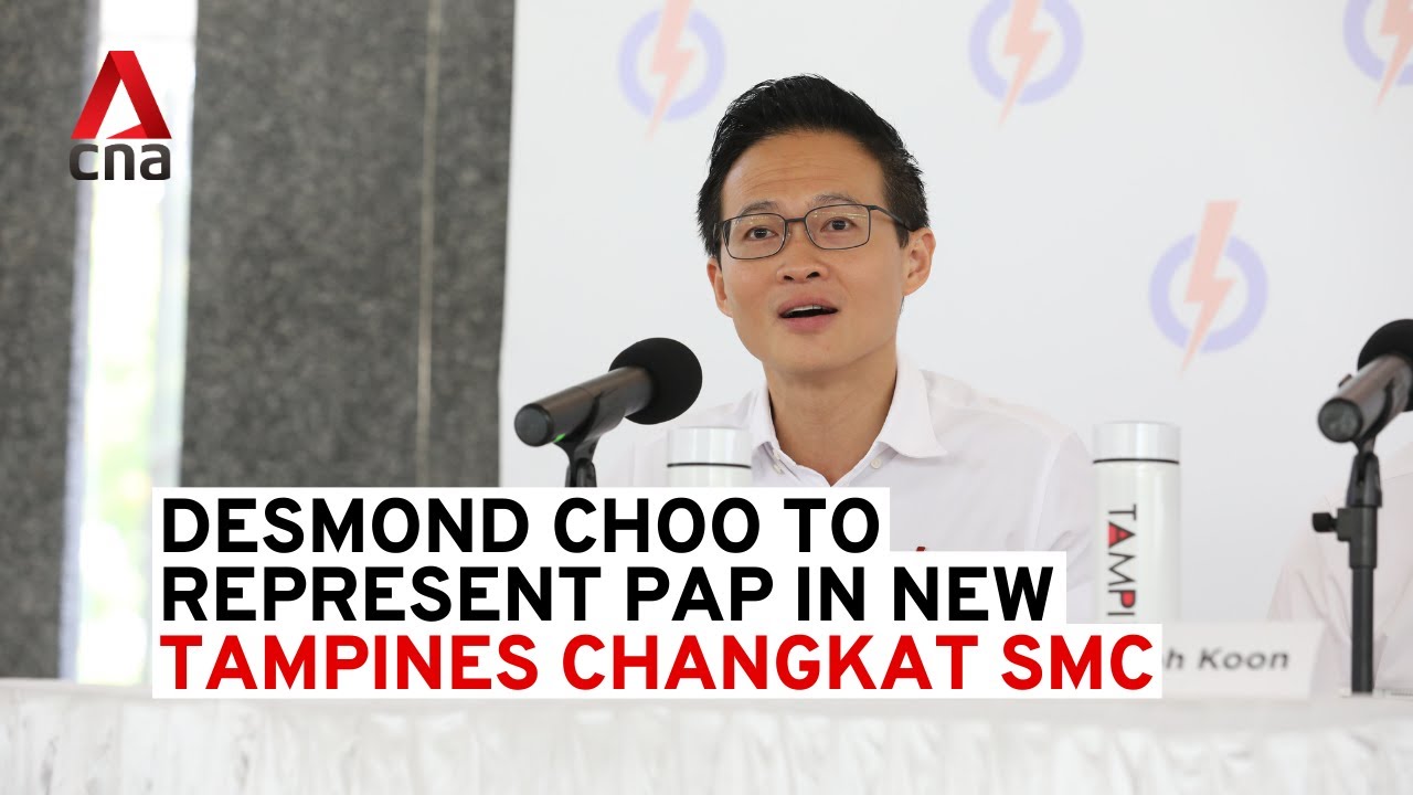 GE2025: Desmond Choo to represent PAP in new Tampines Changkat SMC ...