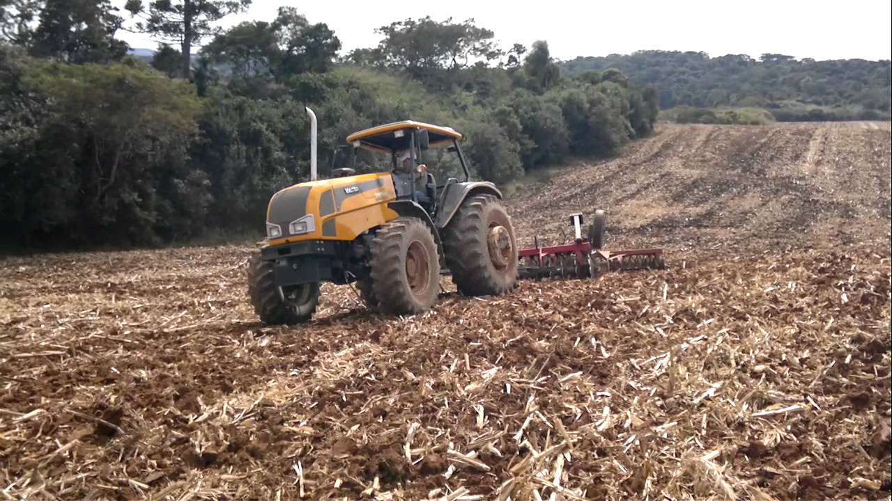 GRADÃO MILHO - YouTube