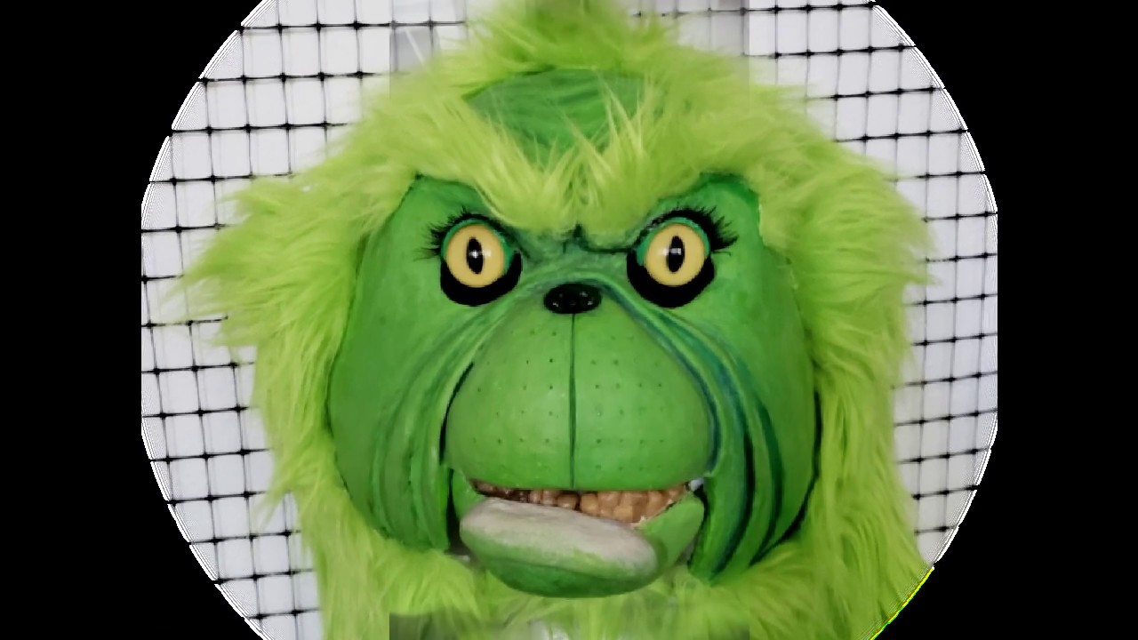 The Coolest Homemade Grinch Costume! - YouTube