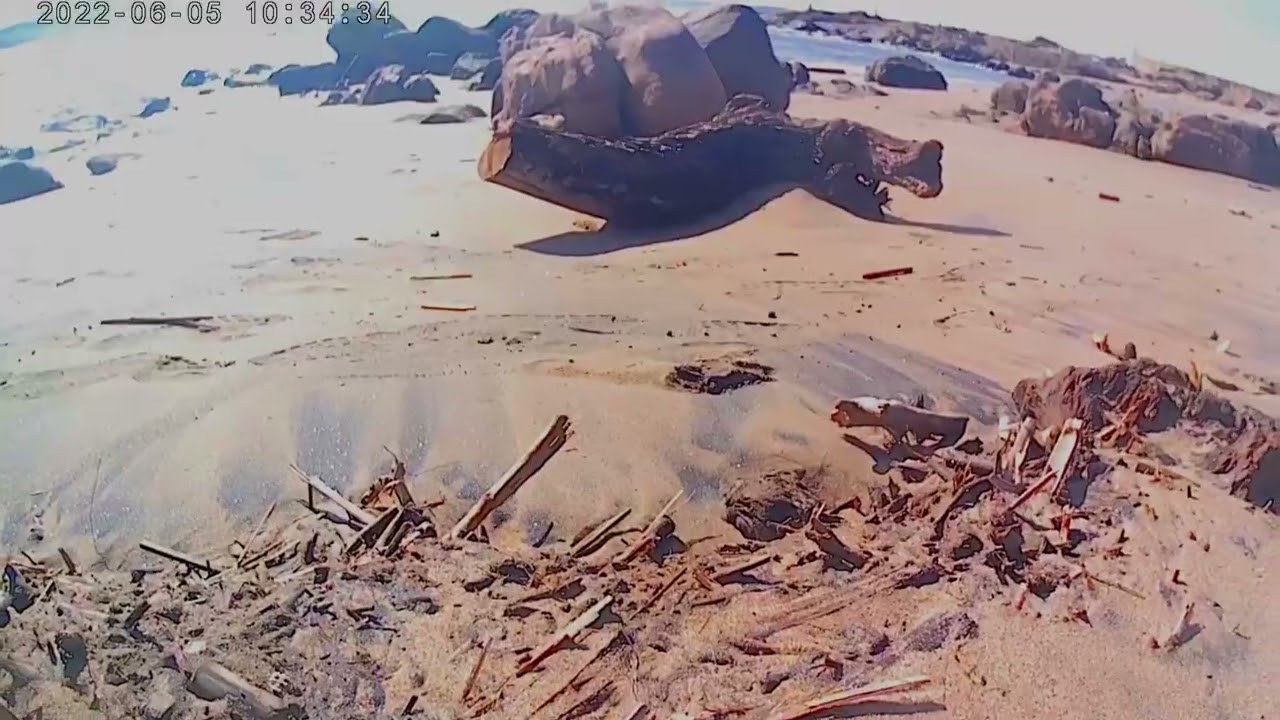 Scottburgh Beach, Kwazulu-Natal, South Africa - YouTube