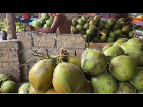 30 PESOS EACH - BUKOHAN SA PUERTO PRINCESA PALAWAN - ANG SARAP PRESKO ...