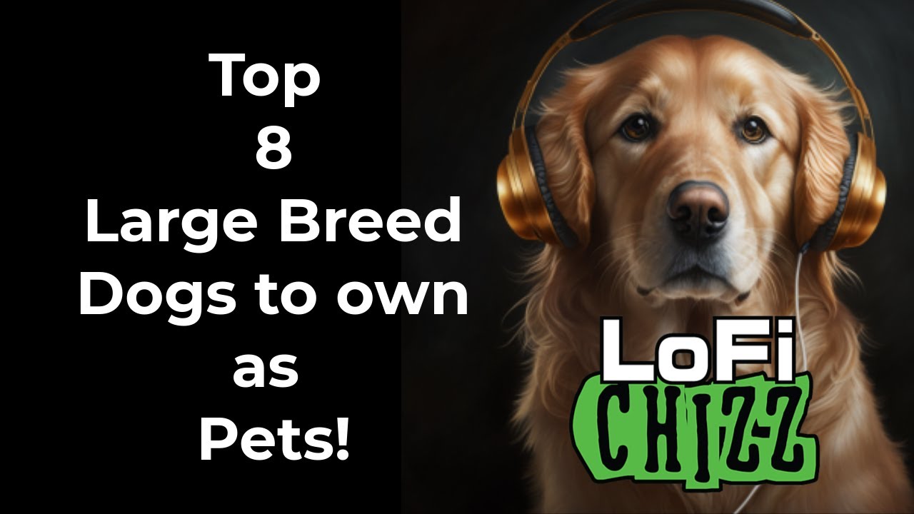 The Top 8 Best Large Breed Dogs to own as Pets - YouTube