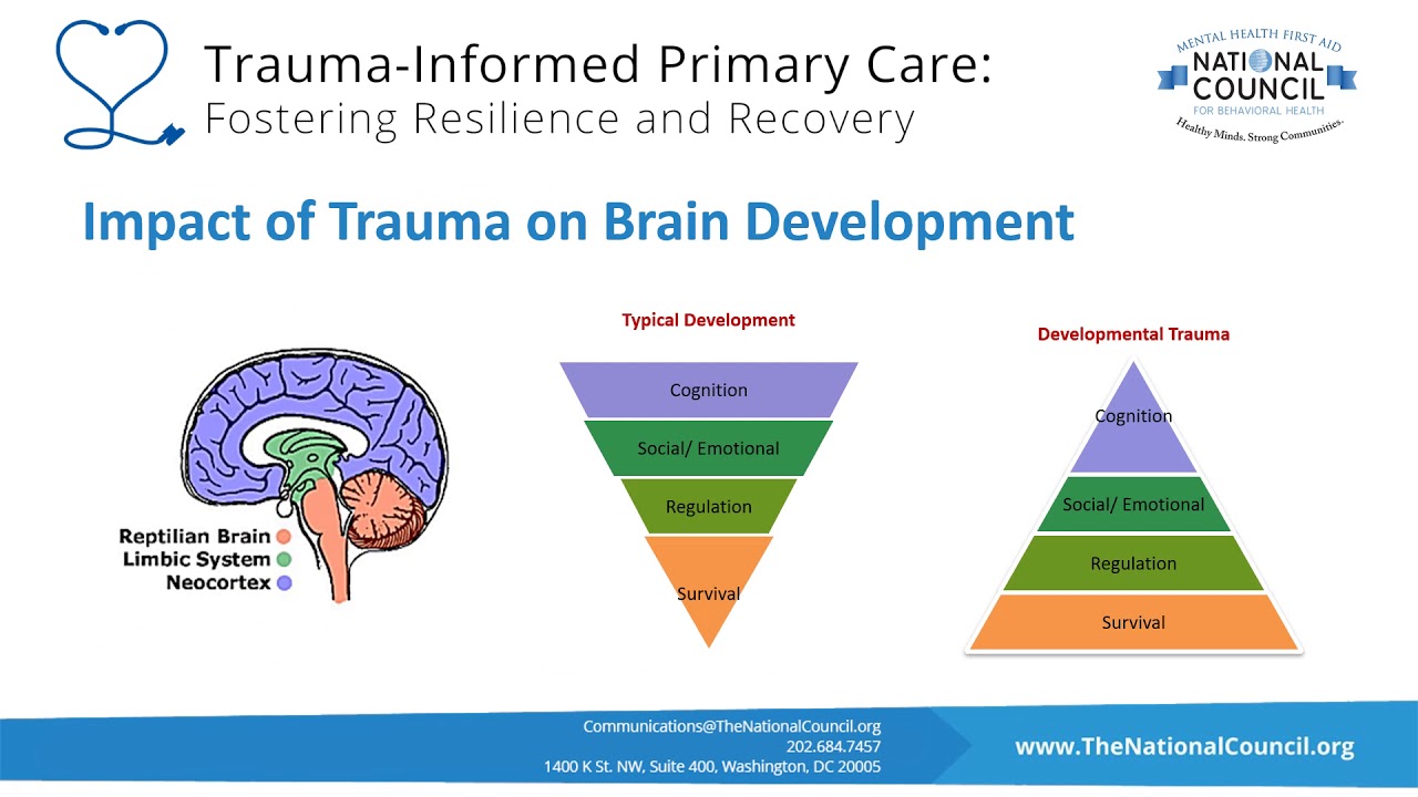 1 Trauma and its Impacts - YouTube