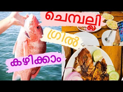 Fortkochi Fish Grill 🐟🐟 #kafe_d_kochi #kochifood #keralastreetfood # ...