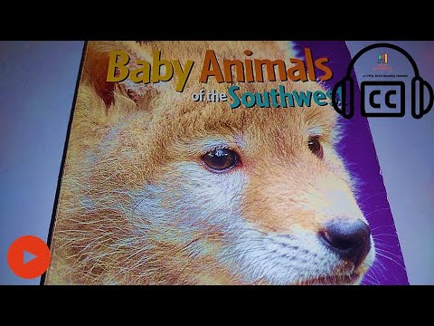 🦊 Baby Animals of the Southwest 🏜️ A Read Aloud Storybook with English ...