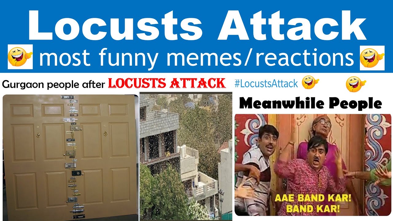 Most funny memes/reactions 😂 after Locust Attack in Haryana(Gurgaon ...