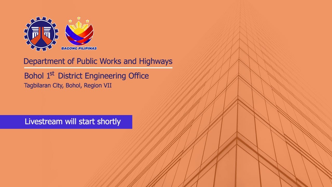 Post-Contract Award Disclosure for DPWH Bohol 1st DEO-January 2025 ...