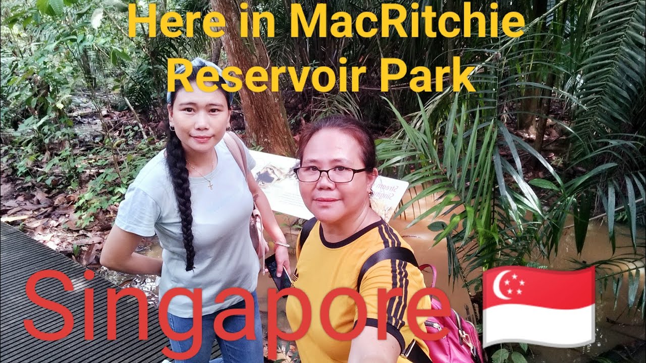 Adventure at macRitchie Reservoir Park | Tree top walk, Singapore 🇸🇬 ...