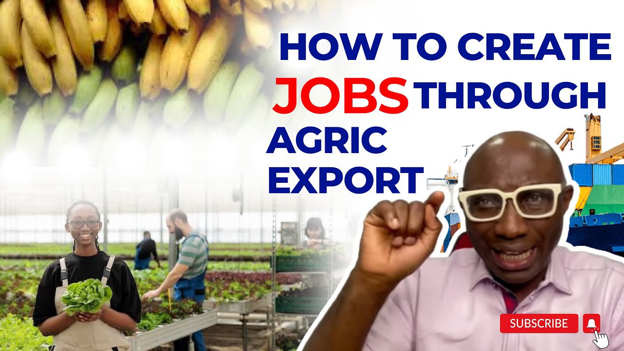 How To Create Jobs Through Agric Export - YouTube