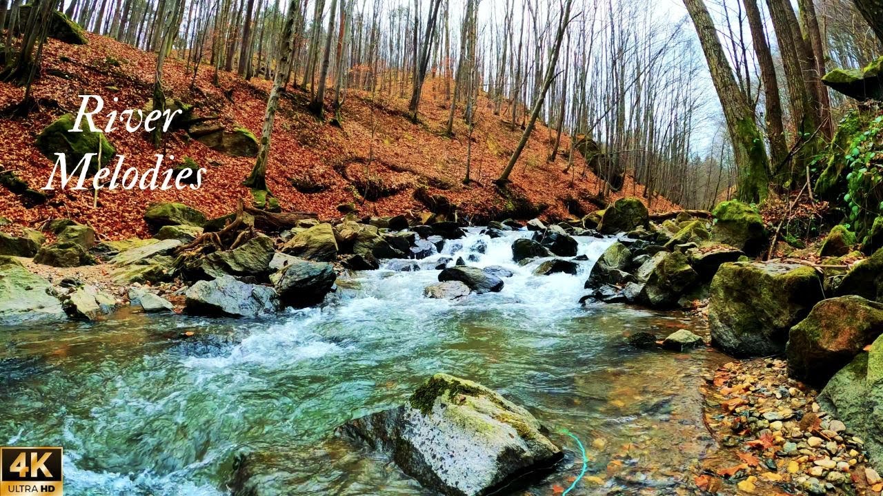 Soothing Relaxing Stress Relief Soft River and Bird Sound - Healing ...