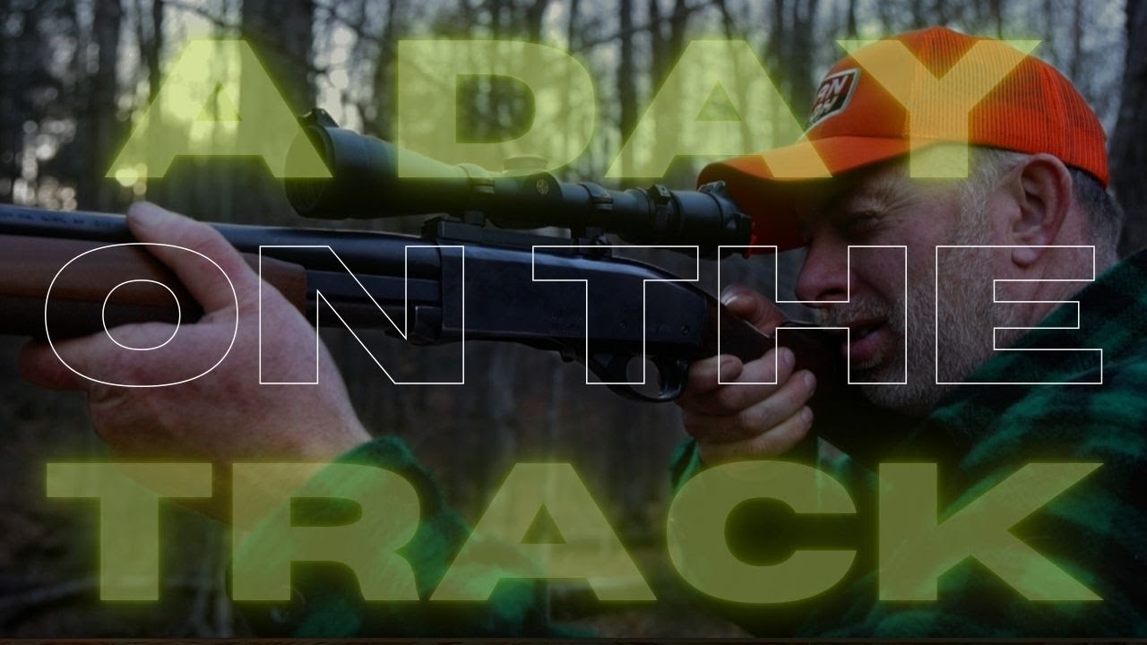 Understanding Buck Behavior | A Day in the BIG WOODS - YouTube