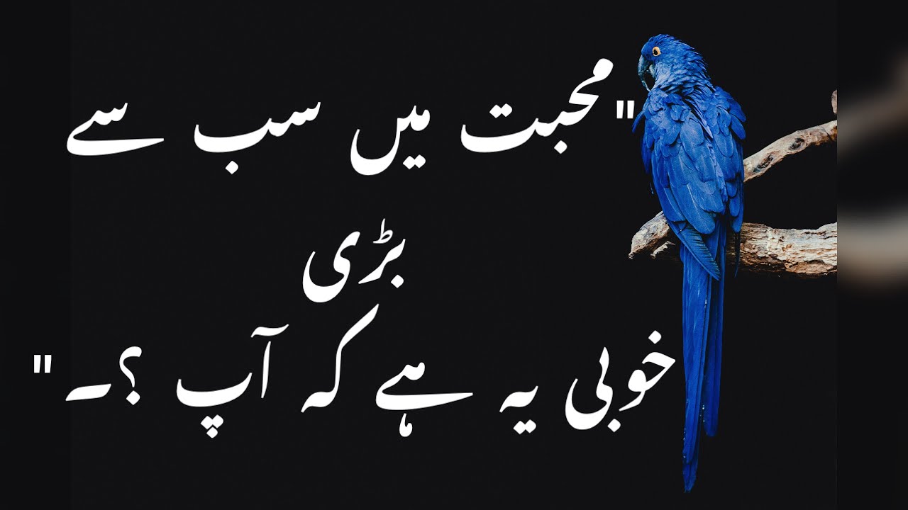 Best quality of love? | Best Bano Qudsia Life Quotes And Relationships ...