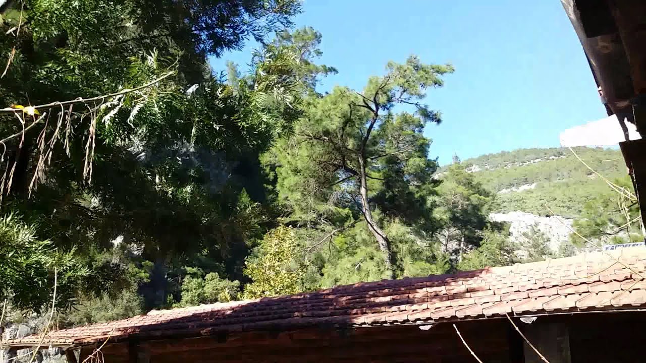 Kadir's Tree Houses Olympos, Turkey - YouTube