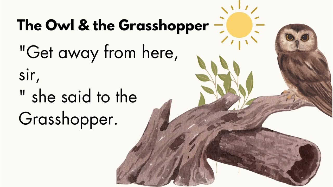 The Owl & the Grasshopper | Learn English Through Story - YouTube