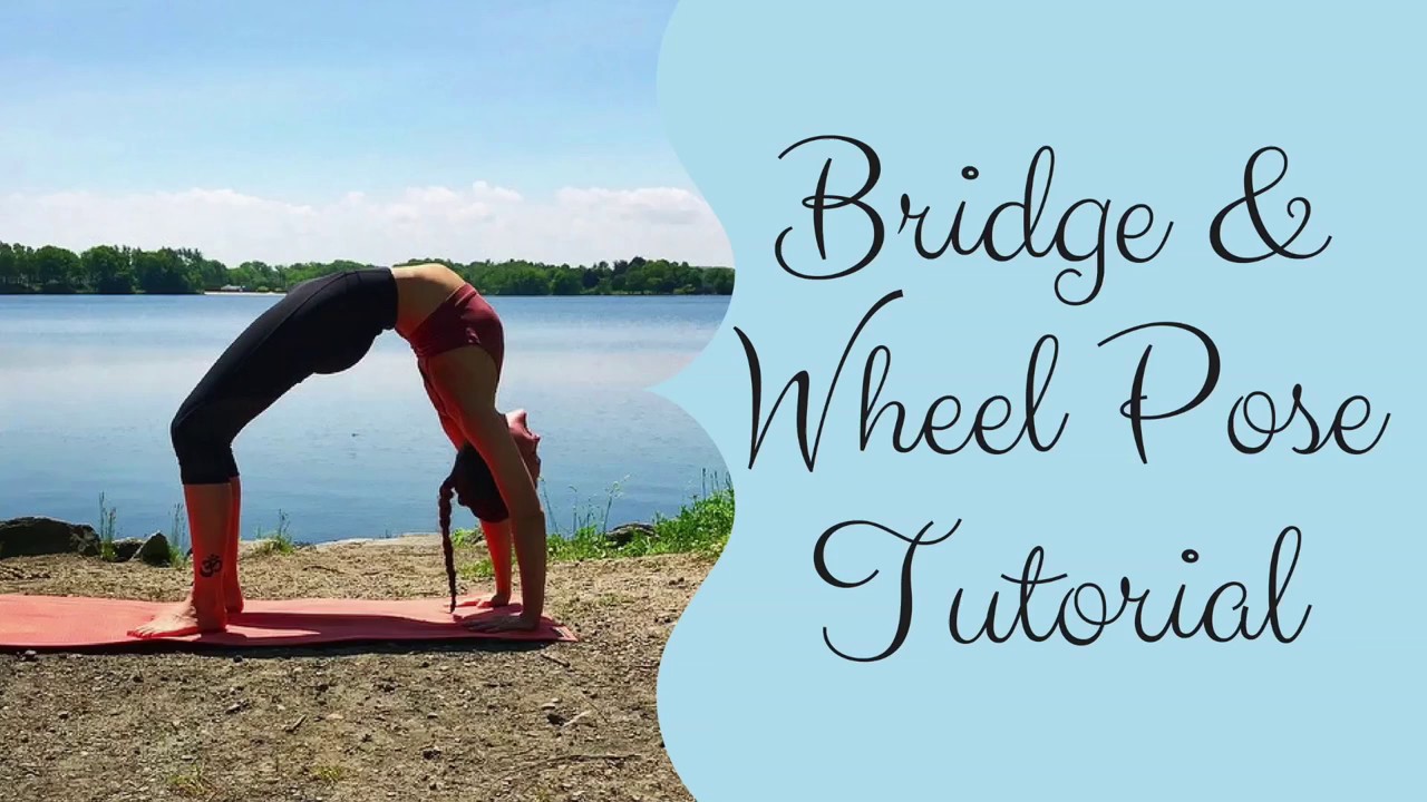 Bridge & Wheel Pose - Yoga Backbend Tutorial - YouTube