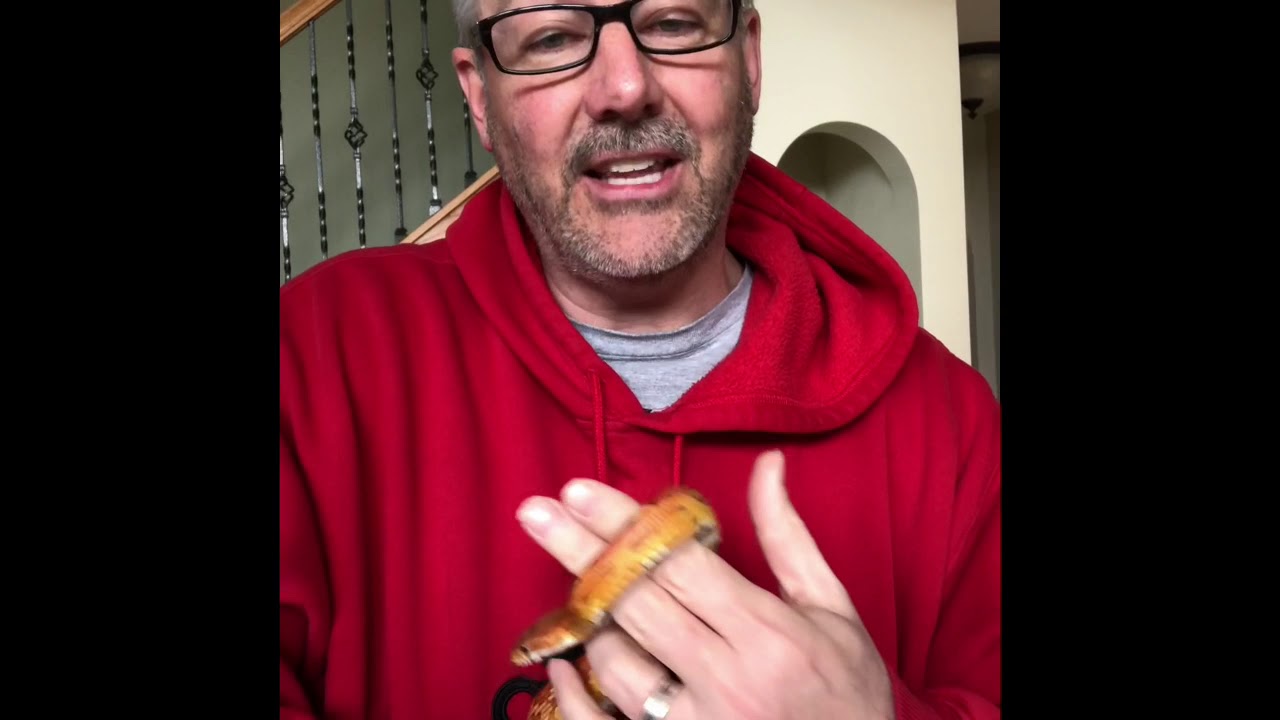 Mr J Episode #3 - YouTube