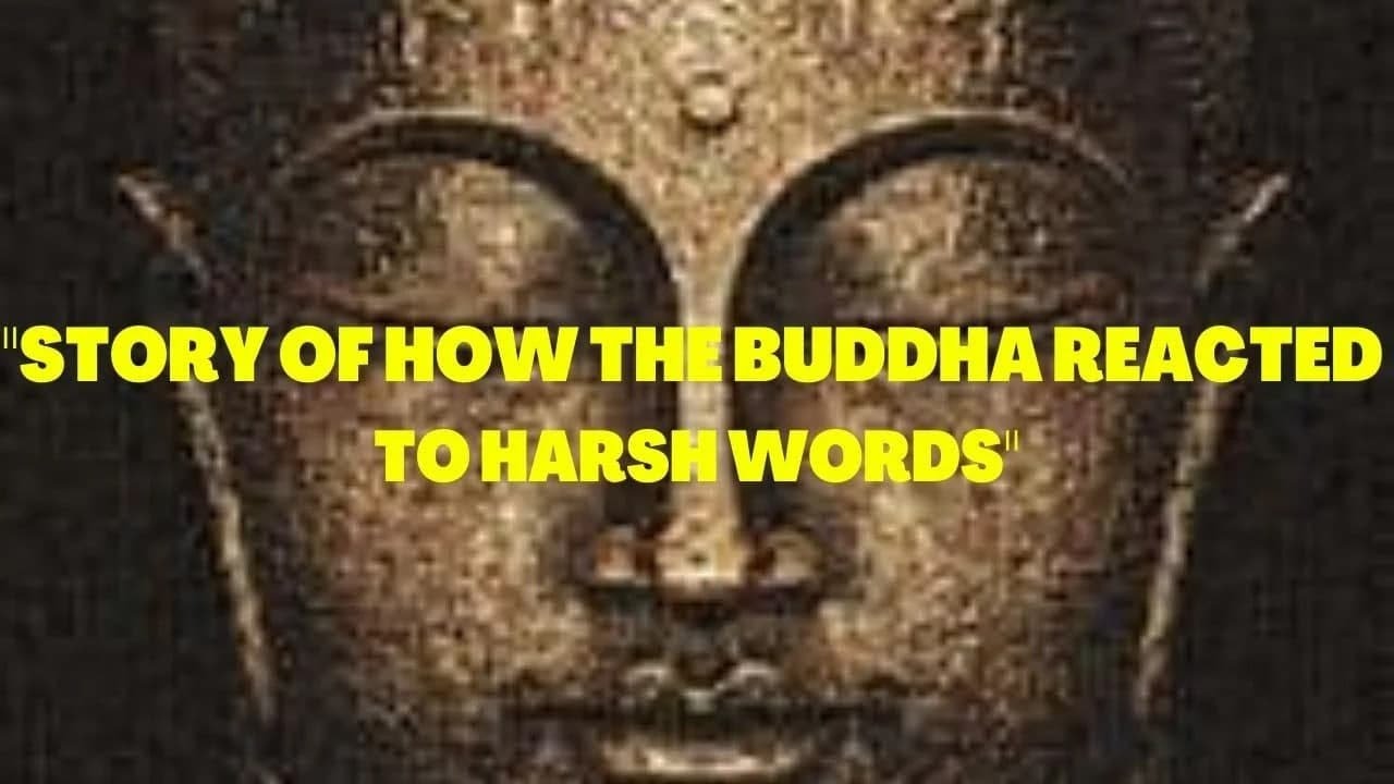 story of how the buddha reacted to harsh words |A BUDDHA STORY - YouTube