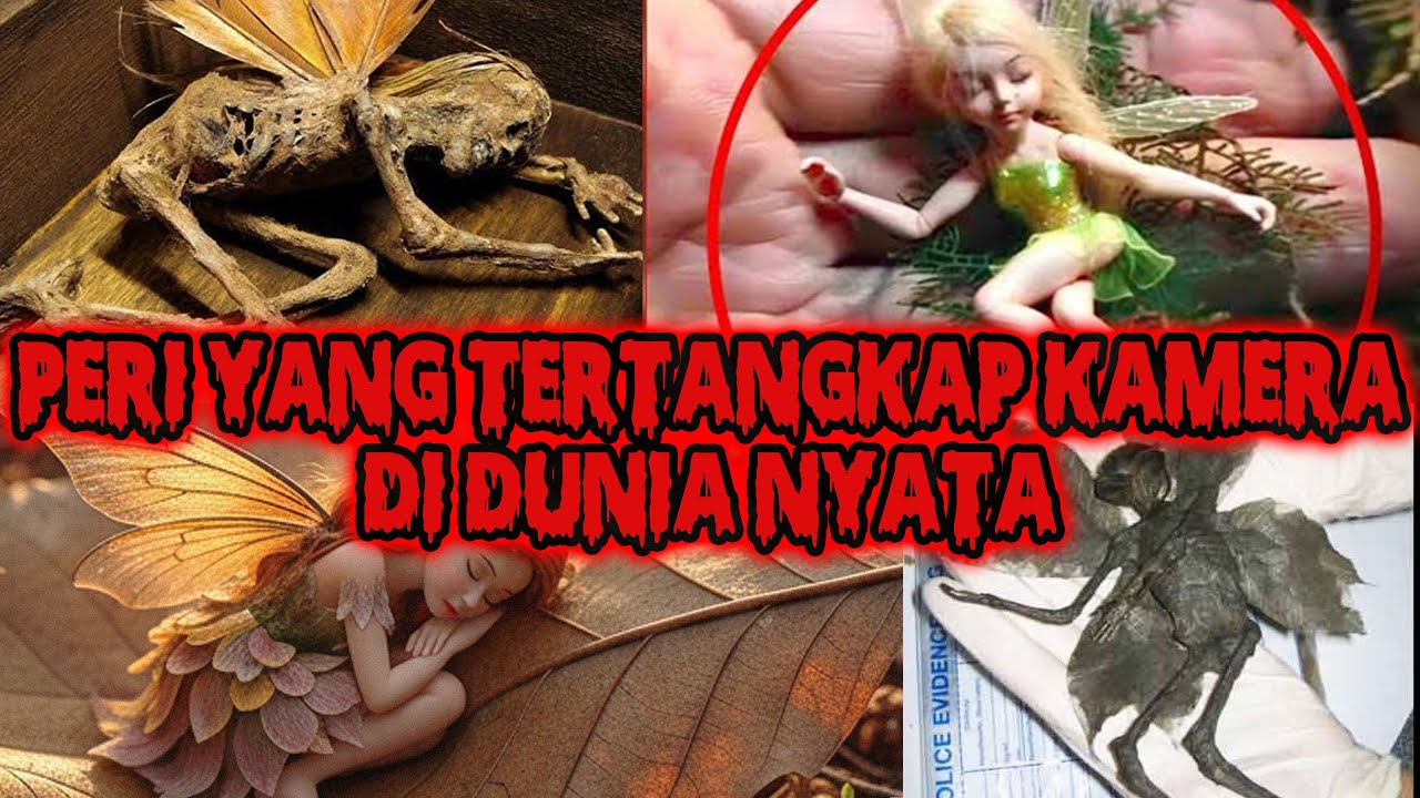 Penampakan Peri di Dunia Nyata Terbaru - YouTube