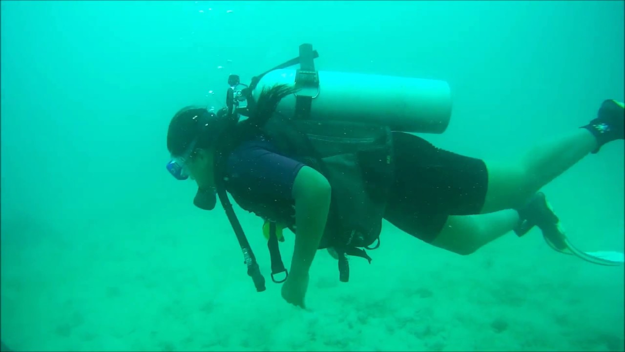 Scuba Diving in Nemo Reef, Havelock Island Andaman, 2017 - YouTube