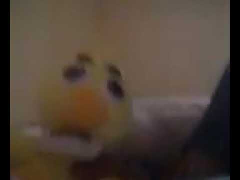 FNAF PLUSHIE EDITION (CHIKA FART)