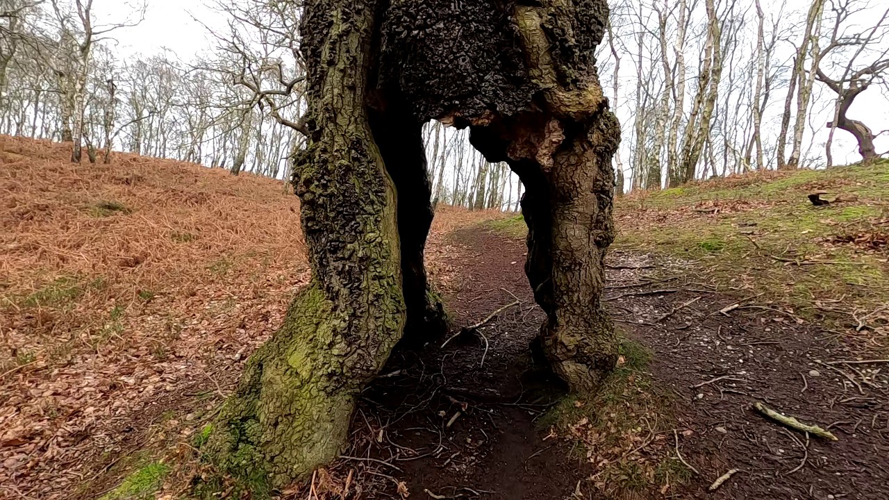 Sherbrook Valley & Brocton Coppice - YouTube