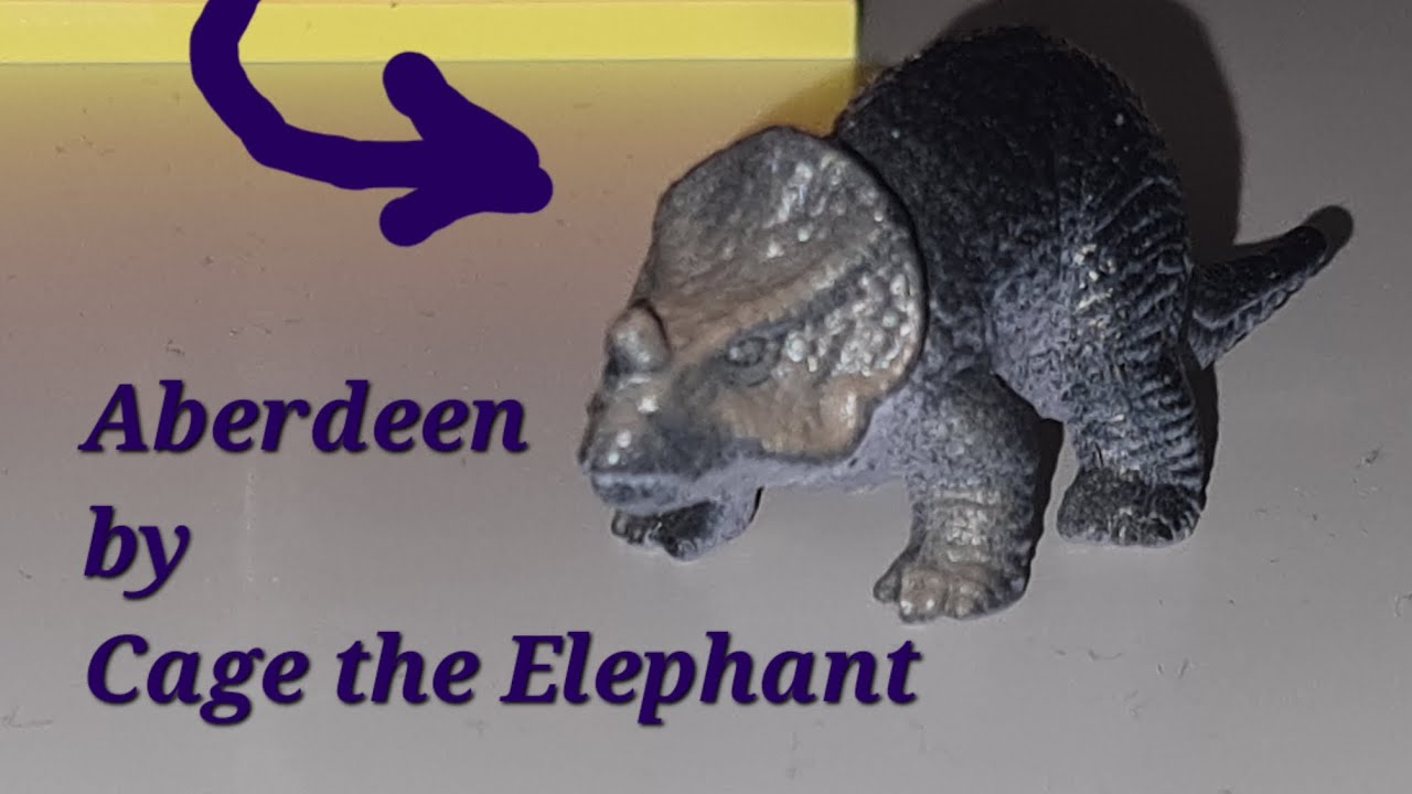 Aberdeen - Cage the Elephant (Cover) - YouTube