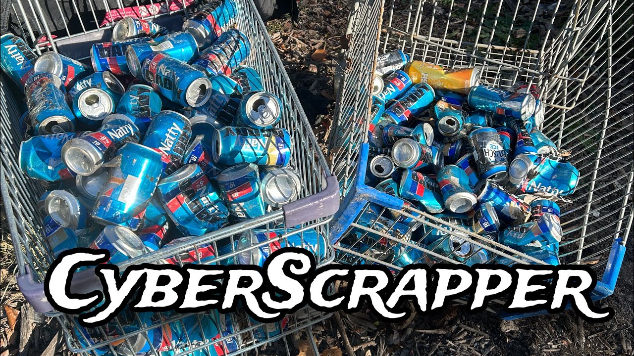 Collecting Aluminum Cans in the Woods // Part 2 // Alot of Aluminum ...