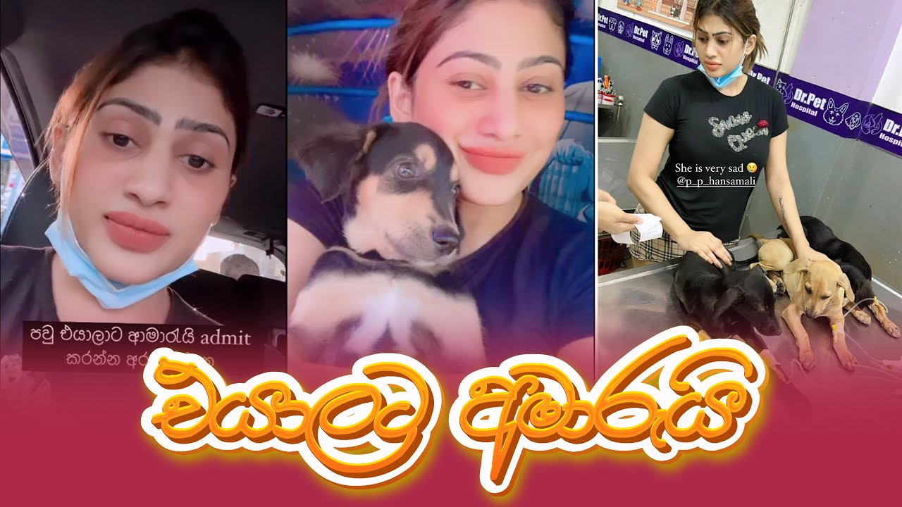 Piumi Hansamali | එයාලට අමාරුයි - YouTube