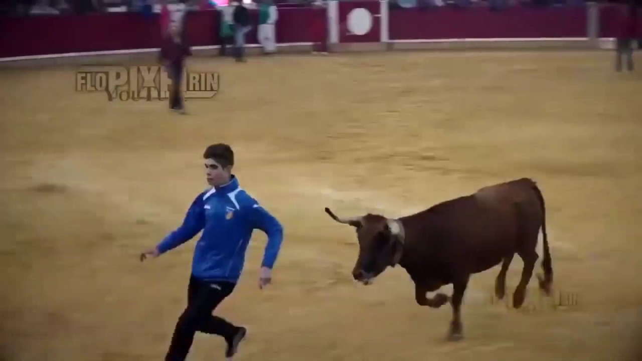 Bull Fight compilation - YouTube