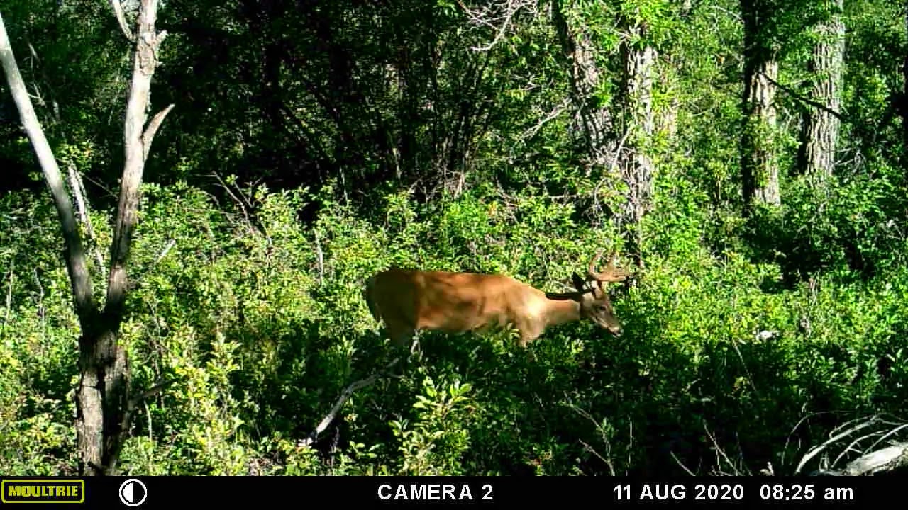 4x4 Buck MFDC3013 - YouTube