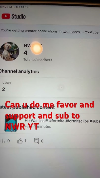 Can you do me favor #fortnite #fortniteclips #gaming #subscribe #shorts - YouTube