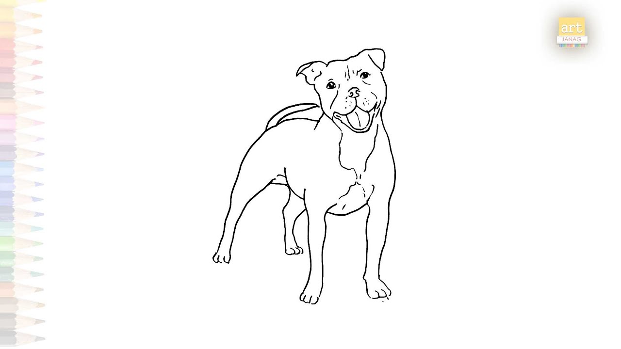 Staffordshire Bull Terrier Drawing | Dog sketches | How to draw Bull ...