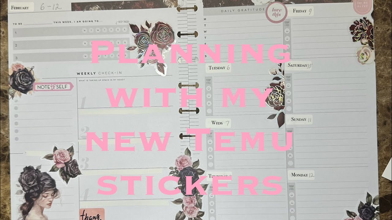 Plan with me in my journal / Happy Planner Recovery layout - YouTube