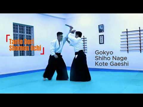 AIKIDO: Tanto Dori - ShomenUchi Shiho Nage, Kote Gaeshi, Gokyo - YouTube
