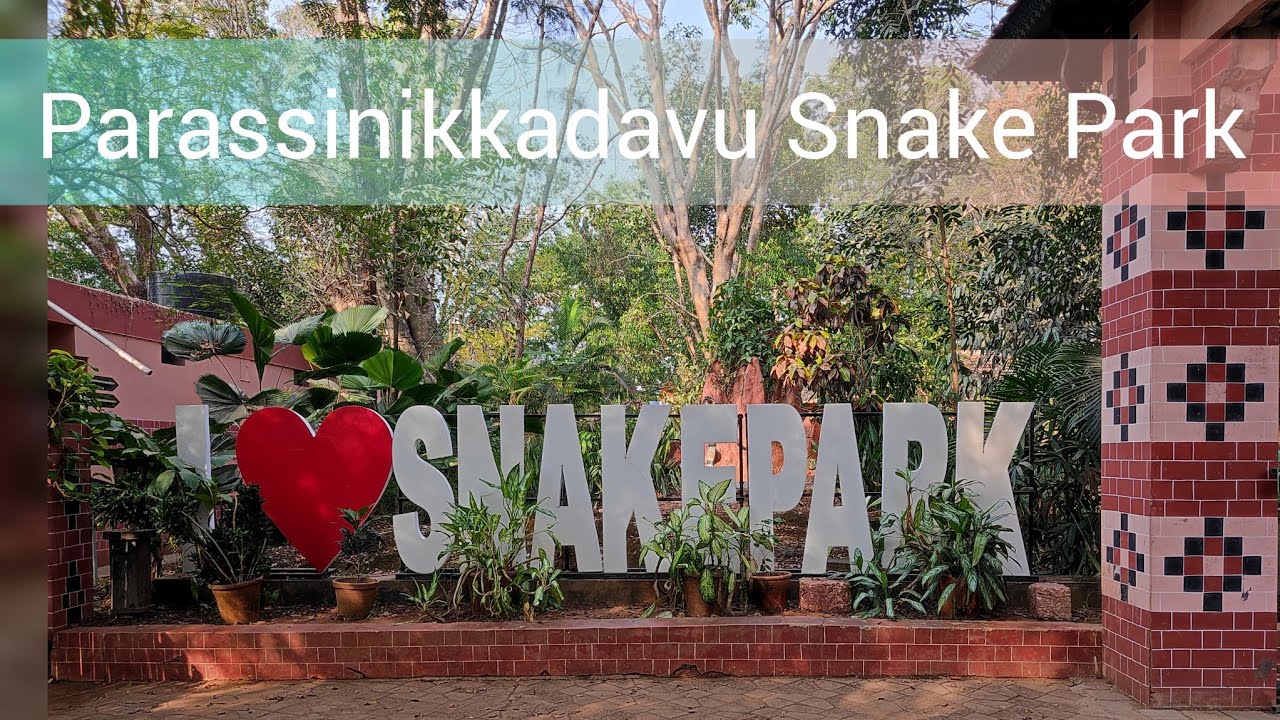 Parassinikkadavu Snake Park | Kannur | Kerala - YouTube