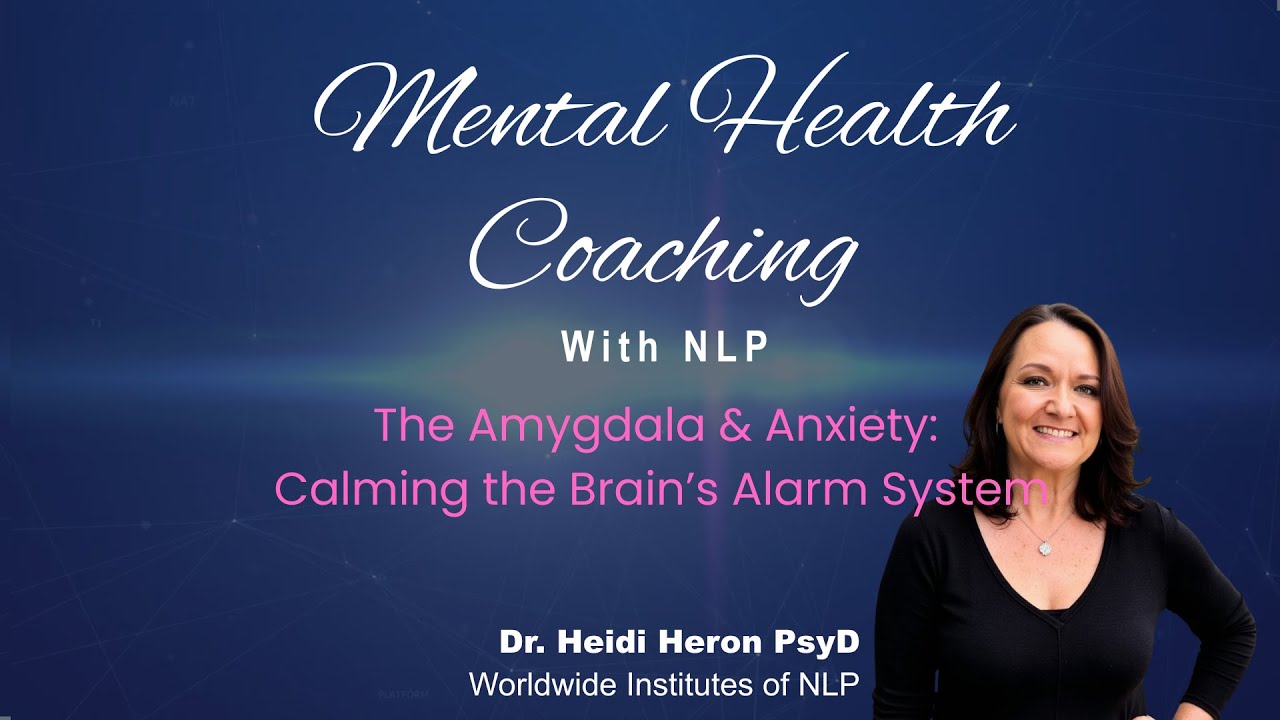 The Amygdala & Anxiety: Calming the Brain’s Alarm System - YouTube