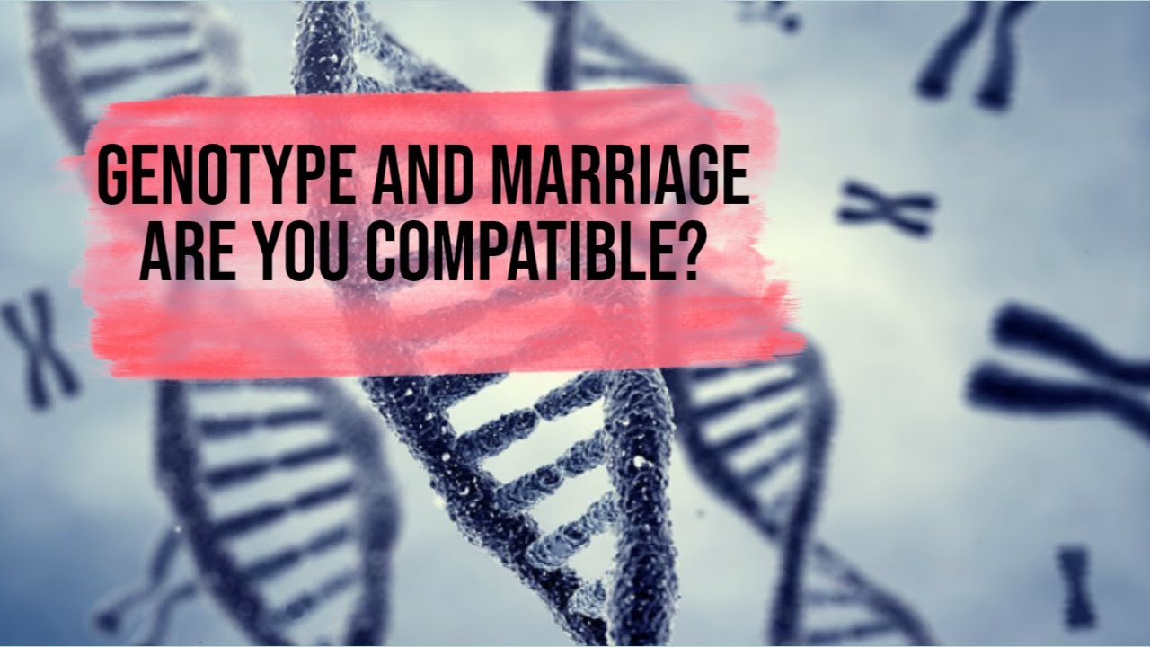 Genotype and marriage, are you compatible? - YouTube