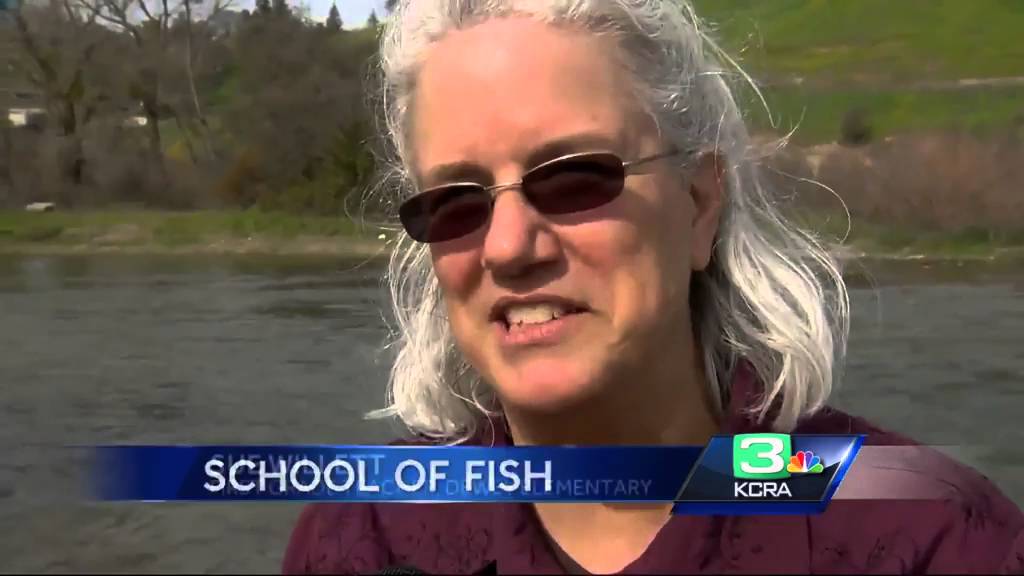 Elementary school students get to be biologists for day - YouTube