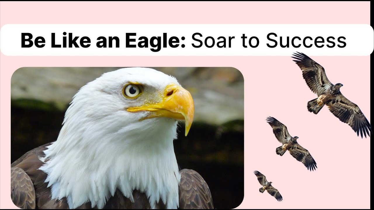 Be Like an Eagle: Soar to Success - YouTube