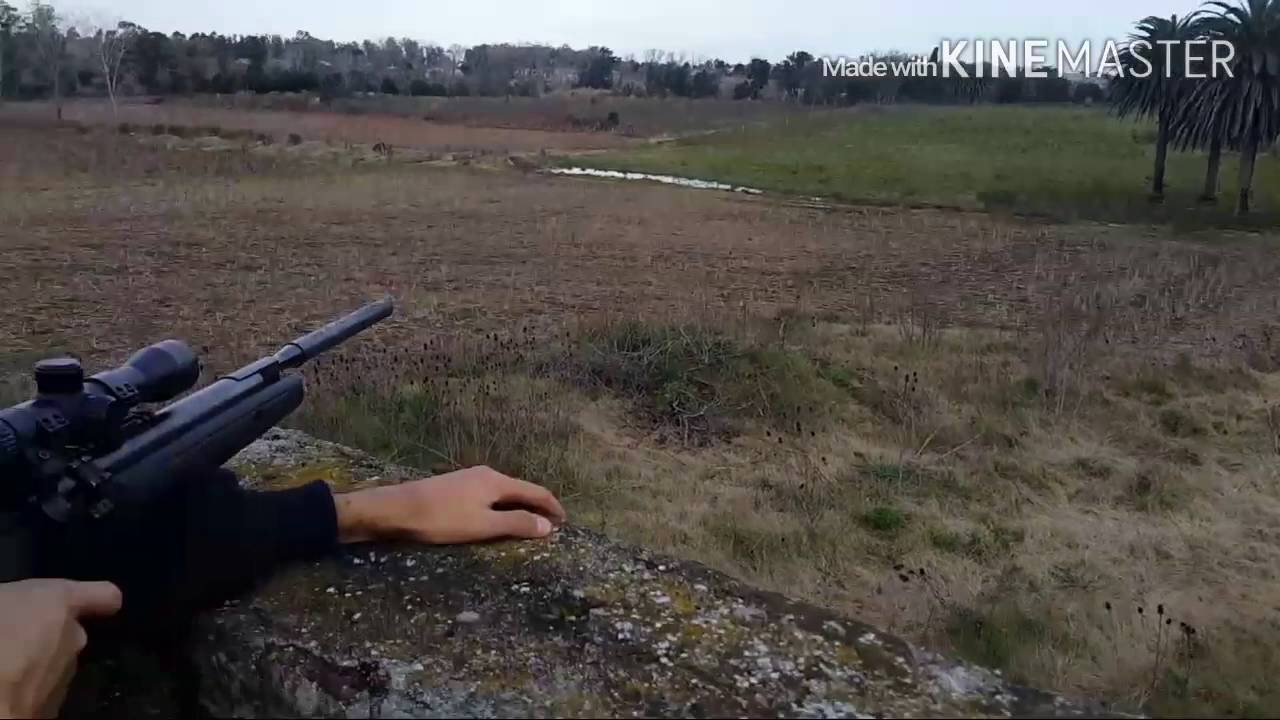CAZANDO PATOS a 120 METROS 🦆 con rifles de aire comprimido (chumbera ...
